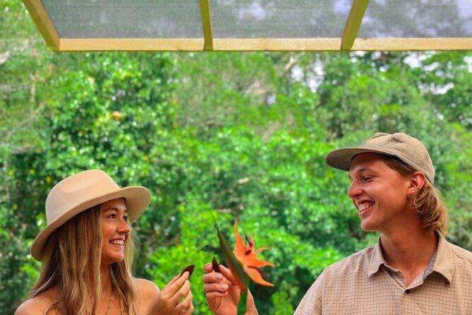 Daintree Sensations - Exploring the Daintree Sensations Tour