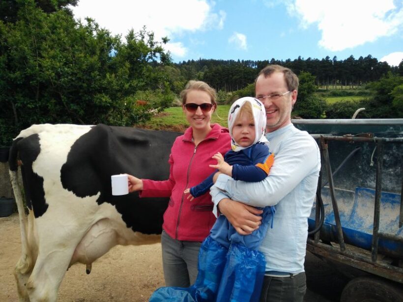 Dairy farm Visit and Cow Milking Experience in Azores - What Travelers Say