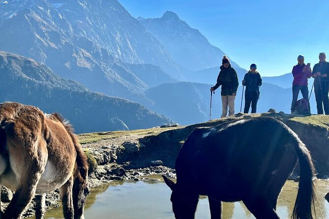 Dalai Lama Himalayan Trek - The Sum Up