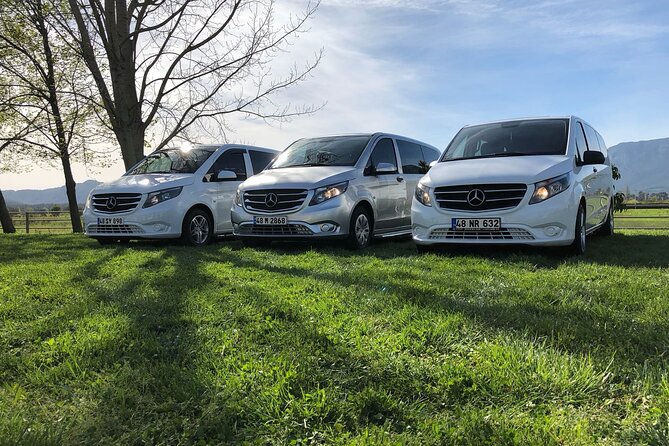 Dalaman Arrival Airport Transfer - Accessibility and Participation