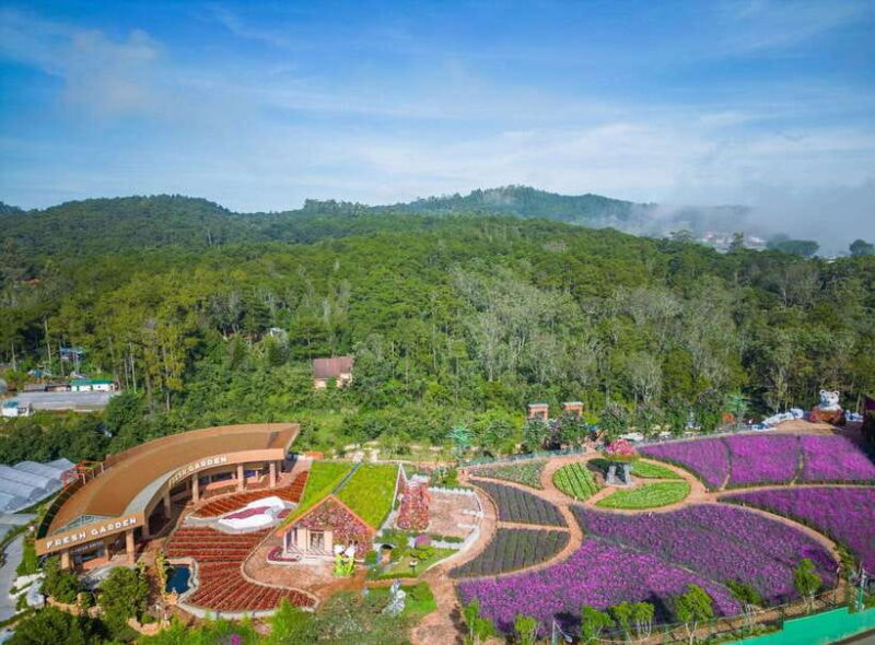 DaLat: Check In at the Most Famous Tourist Attractions - The Sum Up