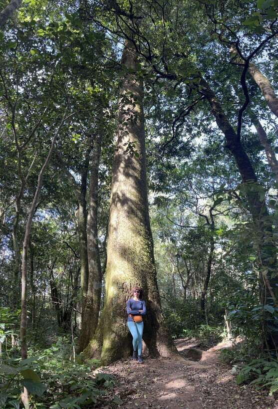 Dalat City Sightseeing Sunrise Cloud Hunting Tour With Cafe - Key Points