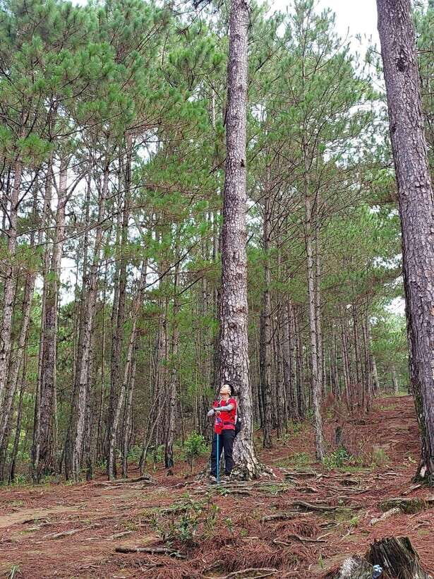 Dalat City Sightseeing Sunrise Cloud Hunting Tour With Cafe - Exploring the Experience