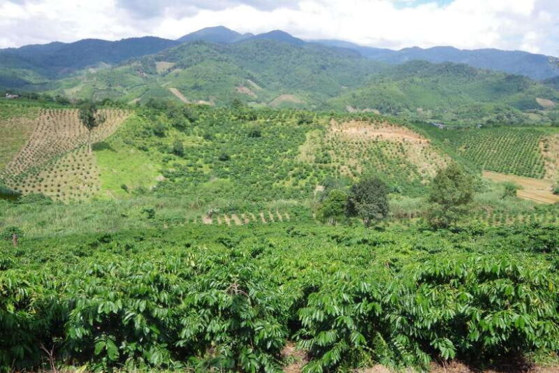 Dalat Countryside Motorbike Tour - Full day Easy Rider Tour - Who Should Consider This Tour?