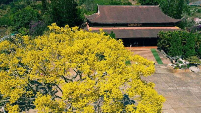 Dalat Countryside & Pongour Waterfall Tours (Small Group) - Key Points