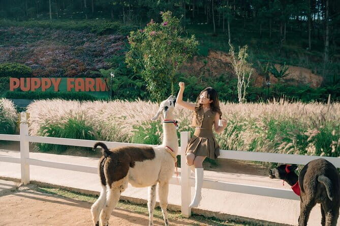 Dalat Countryside Tour $ Elephant falls - FAQ