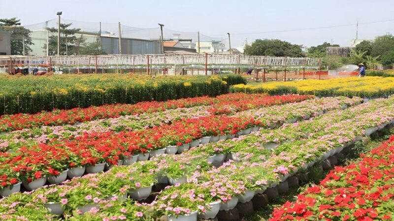 Dalat Countryside Tour - Key Points