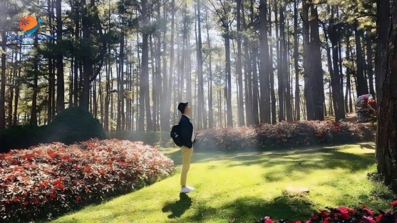 Dalat Culture Tour - The Value of This Tour