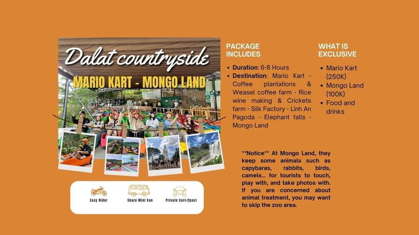 Dalat: Mario kart - Mongo Land - Countryside Tour - The Full Experience: Exploring Dalat’s Countryside