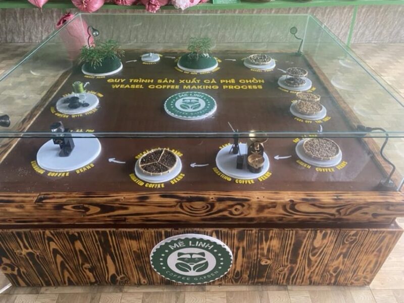 Dalat: Mario kart - Mongo Land - Countryside Tour - The Practical Side: What to Expect