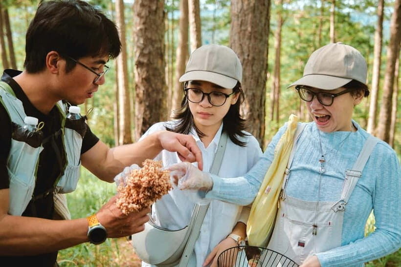Dalat: Mushroom foraging & hiking, forest bathing & wellness - What the Tour Offers: A Deep Dive into Dalat’s Forests