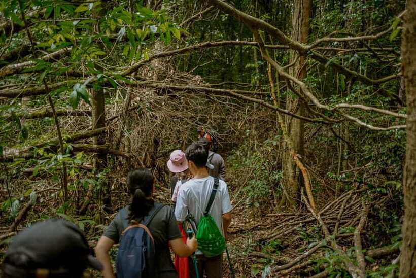 Dalat: Qung Tha Village Hiking & Tuyen Lam Lake BBQ Lunch - The Sum Up: Who Will Love This Tour?
