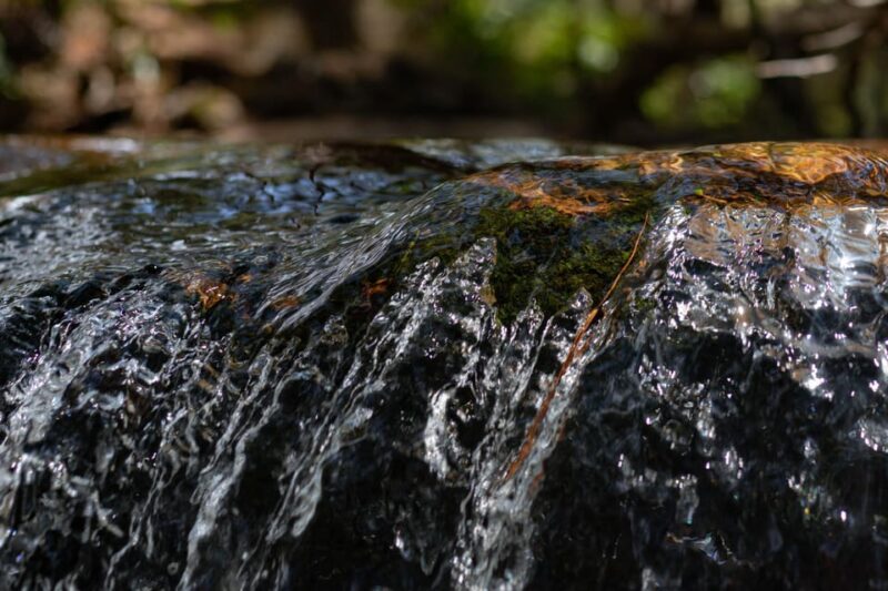 Dalat: silent tour Hiking, swiming waterfall - Who Should Book This Tour?