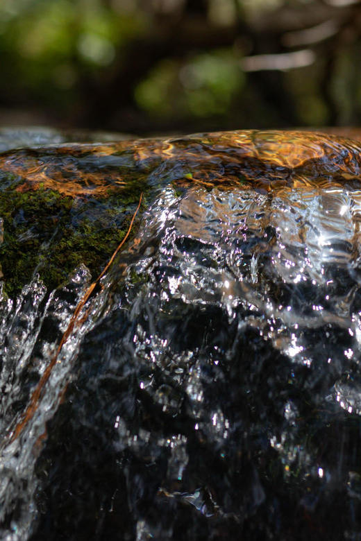 Dalat: silent tour Hiking, swiming waterfall - FAQ: Your Questions Answered