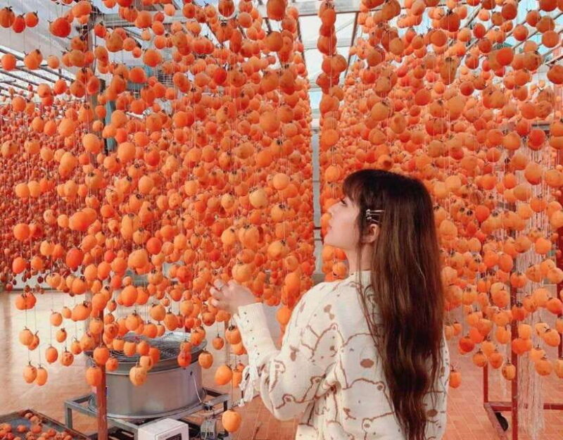 DaLat: Sunrise, Clouds, Peaceful Mornings from 4:00 to 10:00 - Frequently Asked Questions