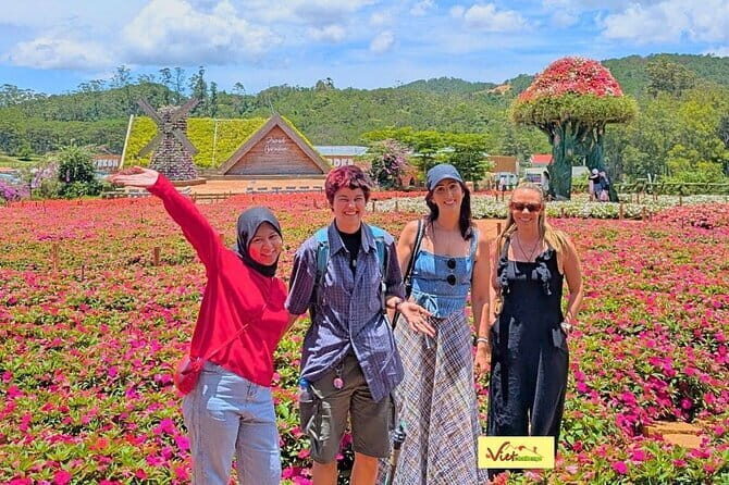 Dalat Top Tourist Sights - Waterfalls & Mario Kart (optional) - Exploring Da Lat’s Natural Wonders and Architectural Oddities