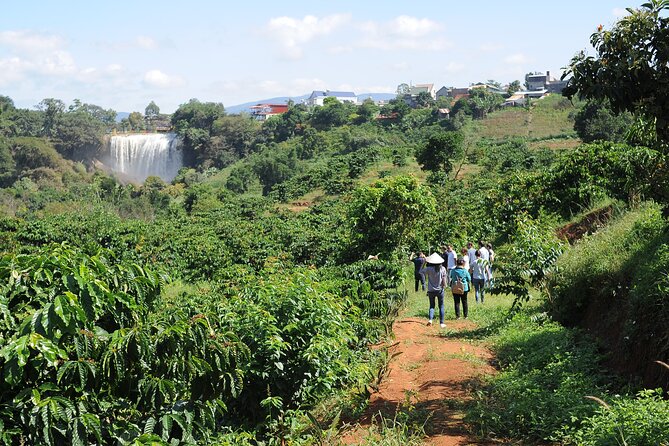 Dalat's countryside|Coffee Plantations Tour beyond Elephant falls - Considerations for Potential Participants