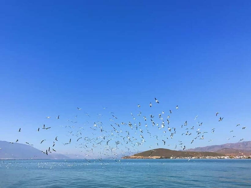 Dali: Chongsheng Temple, Xizhou, & Erhai Lake Tour - Key Points