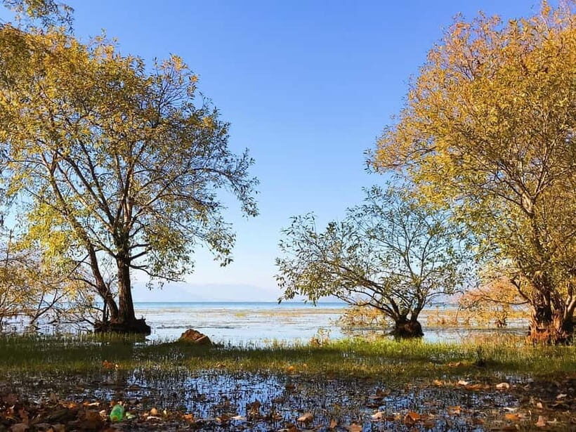 Dali: Chongsheng Temple, Xizhou, & Erhai Lake Tour - The Sum Up