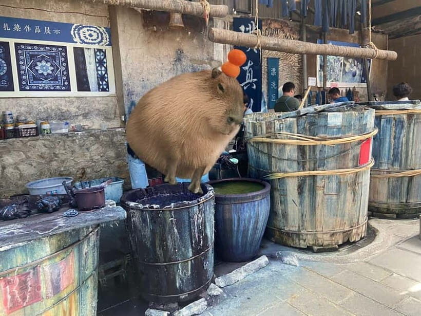 Dali: Zhoucheng Village Tie-Dyeing Experience Private Tour - FAQ