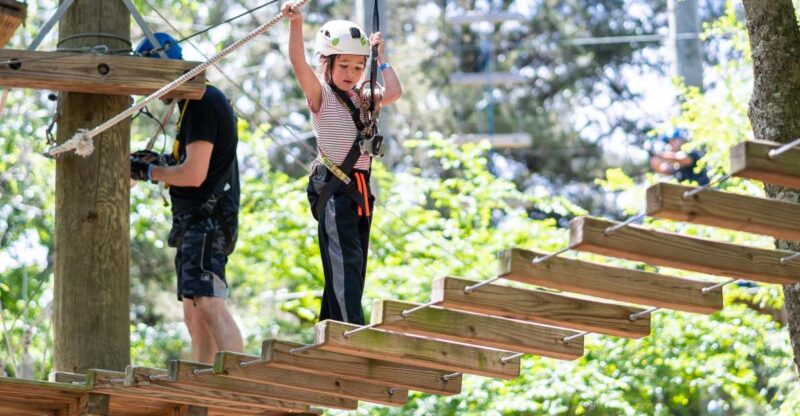 Dallas: Aerial Adventure Course Park Pass - The Value of the Experience