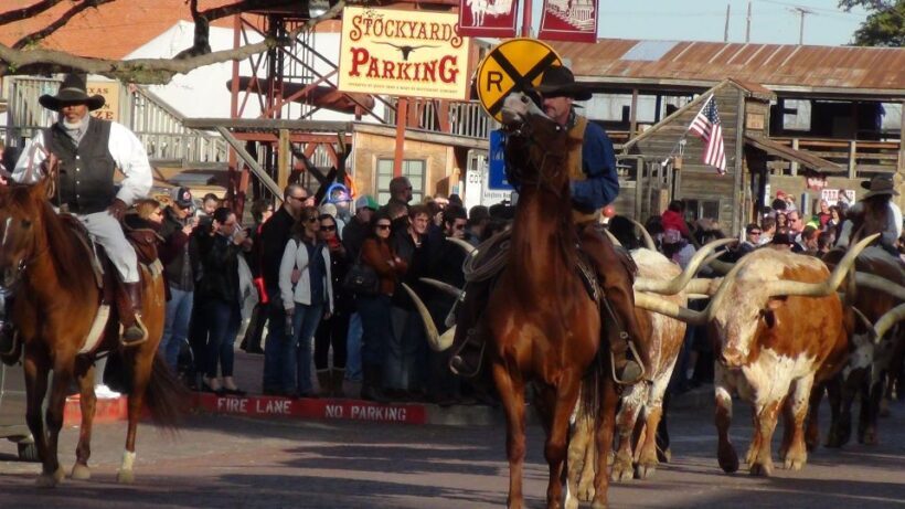 Dallas: City & Fort Worth Combination Tour - FAQ