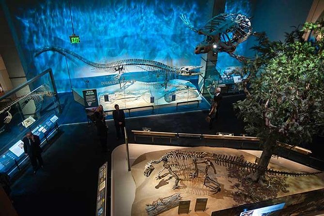 Dallas CityPASS® - The Review from Past Visitors