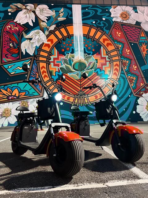 Dallas Mural Fat-Tire Scooter Tour - Who Will Love This Tour?
