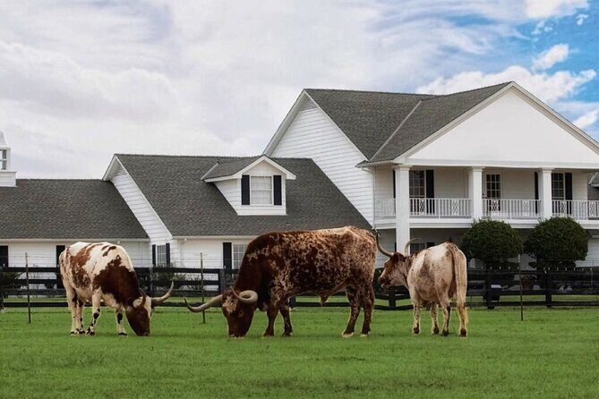 Dallas Southfork Ranch Private Limousine Tour - FAQ