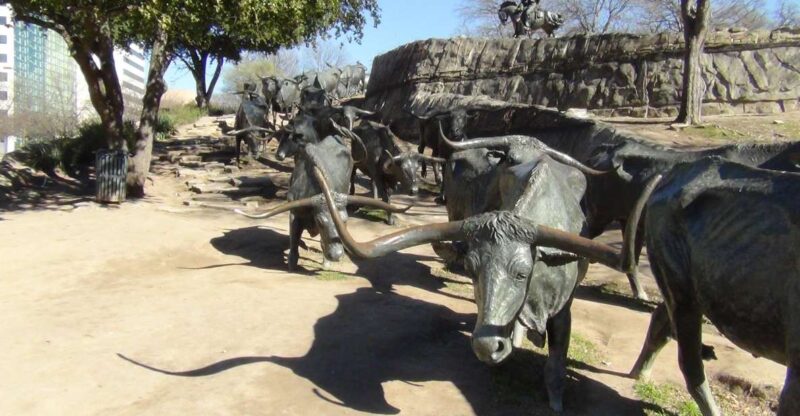 Dallas: Welcome to Dallas 3-Hour Small Group Tour by Van - The Sum Up: Who Will Love This Tour?