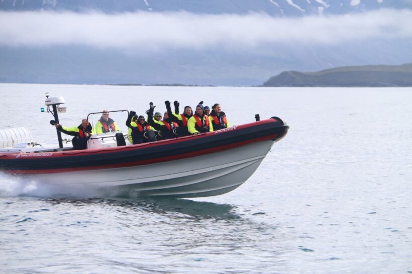 Dalvík: Whale Watching Speedboat Tour - Is This Tour Worth the Price?