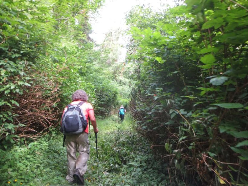 Damajagua: 27 Waterfalls Tour with Entrance Fee & Lunch - FAQ