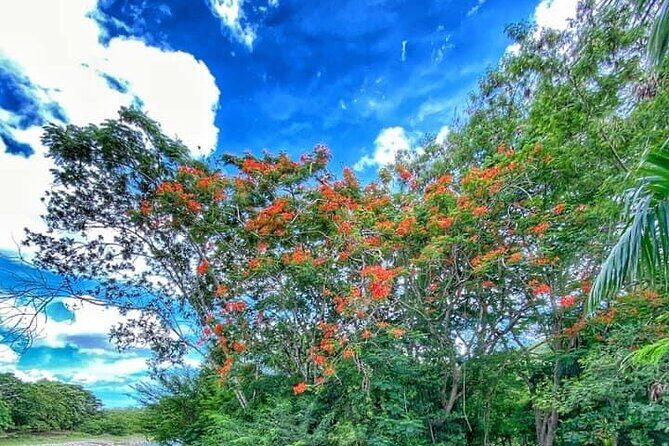Damajagua The 7 waterfalls excursion - Amber Cove & Taino bay - FAQ