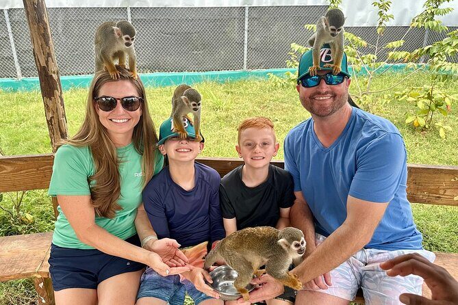 Damajagua Waterfalls and Monkey Private Van Tour - Key Points