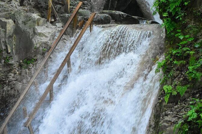 Damajagua Waterfalls and Monkey Private Van Tour - Who Will Love This Tour?