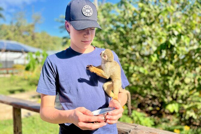 Damajagua Waterfalls and Monkey Private Van Tour - Frequently Asked Questions