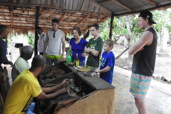 Damajagua Waterfalls for Amber Cove - Discovering the Damajagua Waterfalls: An Adventure to Remember