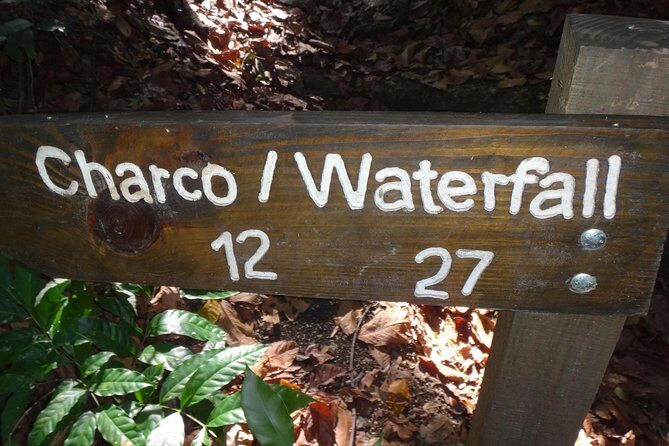 Damajagua Waterfalls for Cruise Ship Passengers - Authenticity and Overall Experience