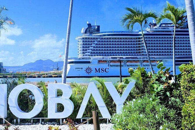 Damajagua Waterfalls Private Tour with Lunch - FAQs