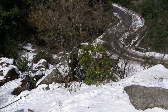 Daman Hill Tour from Kathmandu with Lunch and Guide - The Sum Up