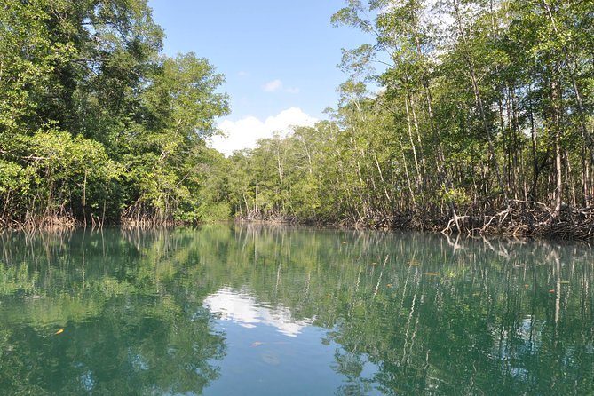 Damas Island Mangrove Boat Tour From Manuel Antonio - Key Points