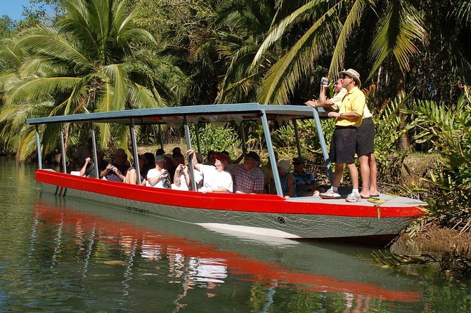 Damas Island Mangrove Boat Tour From Manuel Antonio - Wildlife Spotting on the Damas Island Tour