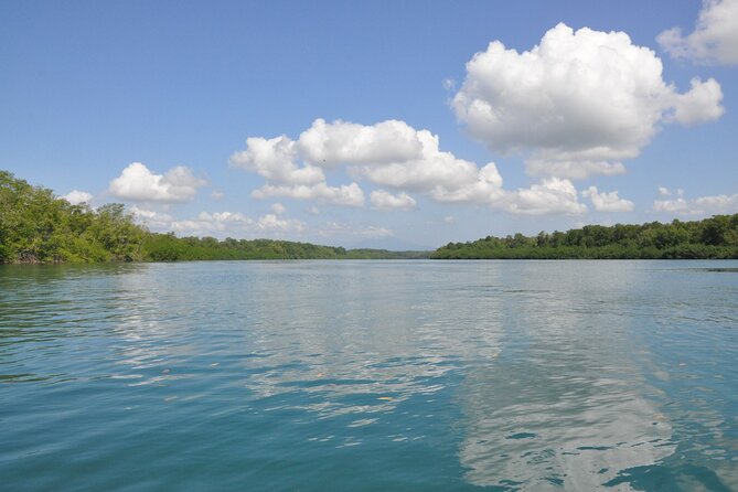 Damas Island Mangrove Boat Tour From Manuel Antonio - Pricing and Cancellation Policy