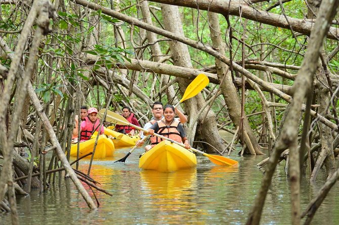 Damas Island Mangrove Kayaking Tour From Manuel Antonio - Exploring the Mangrove Ecosystem