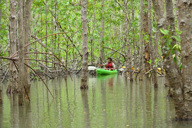 Damas Island Mangrove Kayaking Tour From Manuel Antonio - Participant Requirements