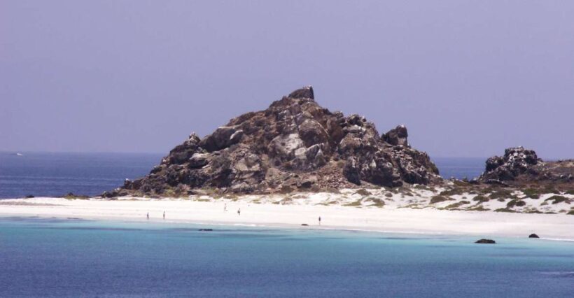 Damas or Chañaral islands: Whales & Humboldt Penguin Reserve - Key Points