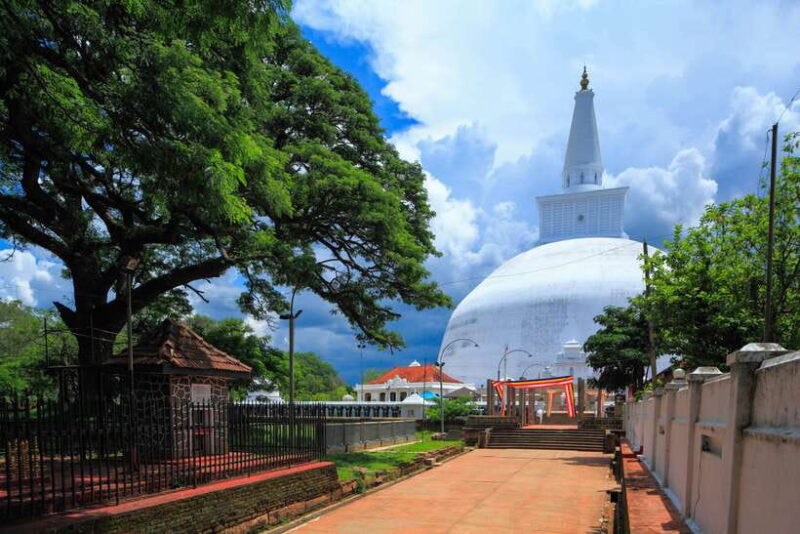 Dambulla: Anuradhapura and Mihintale Day Tour - Key Points