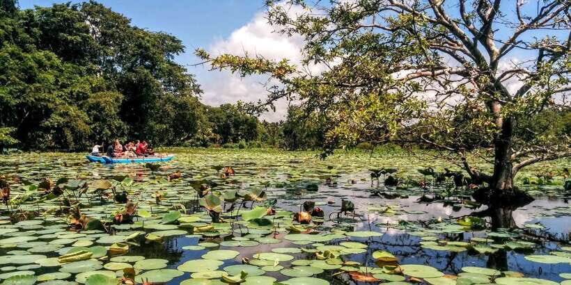 Dambulla: Cave Temple and Village All-Inclusive Tour - FAQs