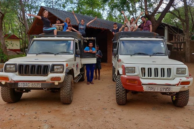 Dambulla & Sigiriya Day Tour from Colombo / Negombo with Lunch - The Experience from the Reviews