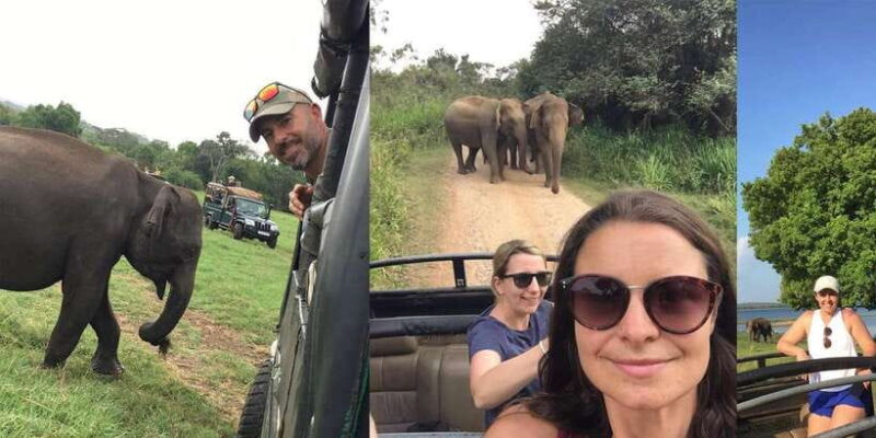 Dambulla/Sigiriya: Polonnaruwa & Minneriya Park Jeep Safari - Final Verdict